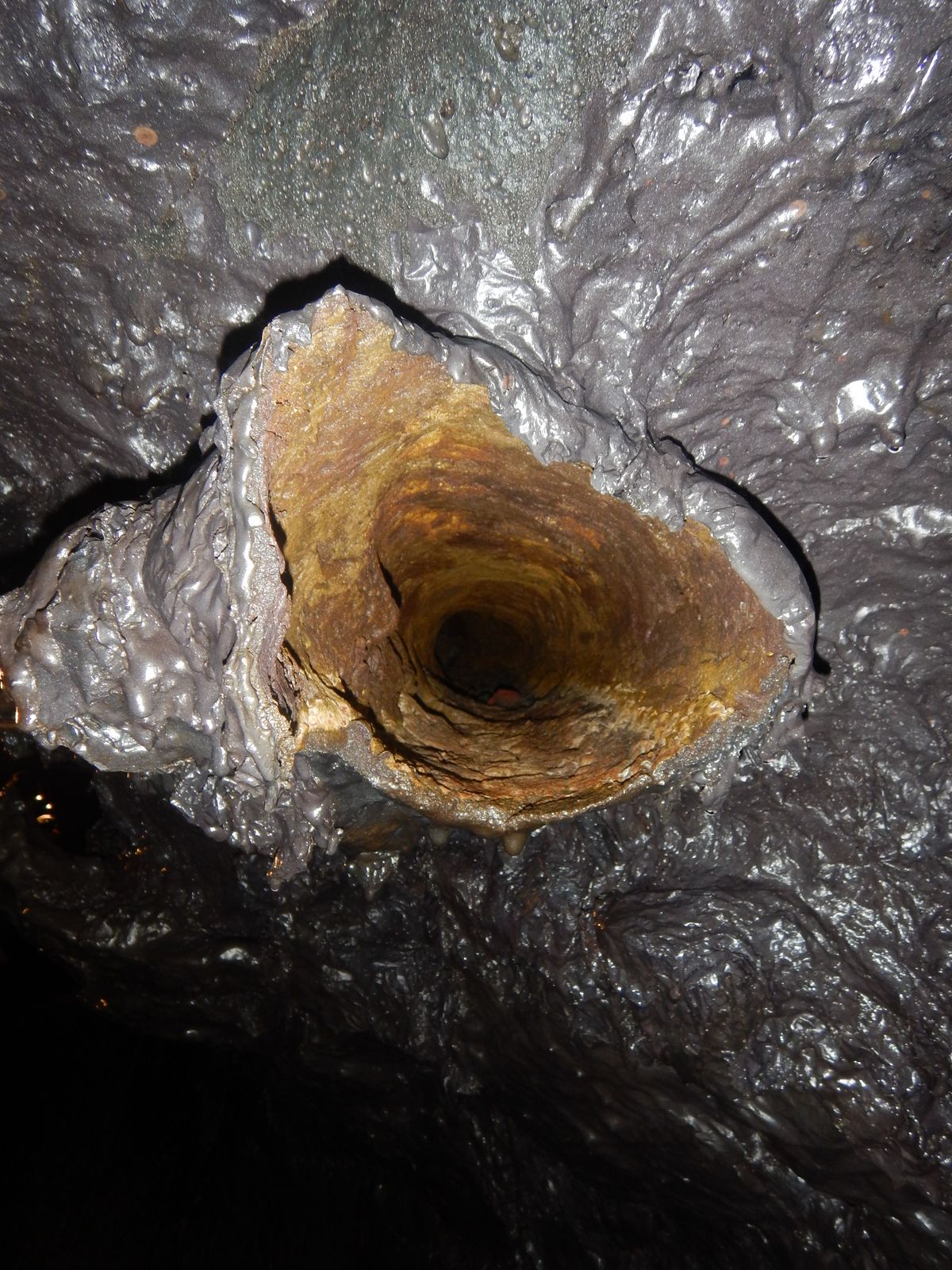 Pourquoi Visiter les Tunnels de Laves à La Réunion - Quel Tunnel de ...